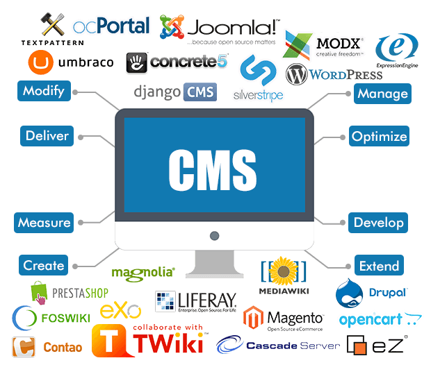 Content Management Systems ByteOrigin